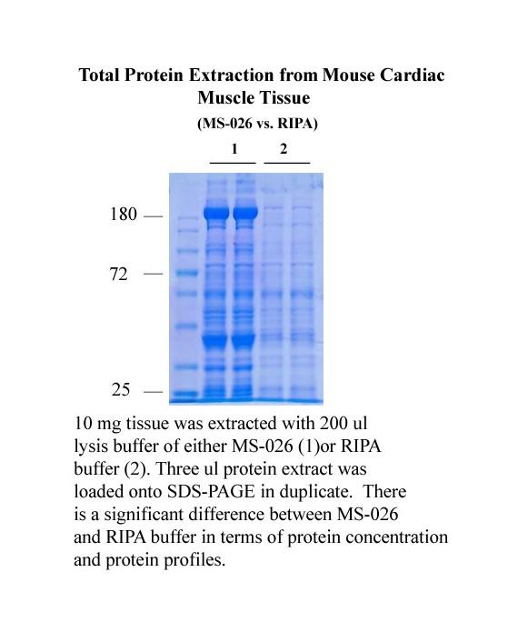 Total Protein Extraction Kit for Mass Spectrometry – Invent ...