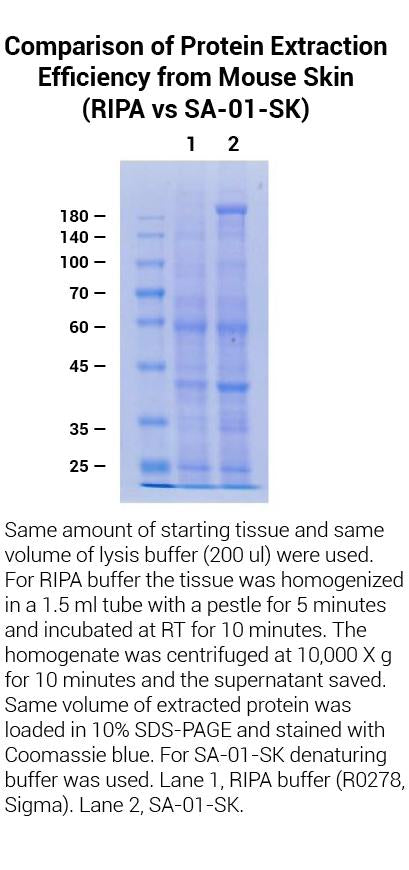 Minute™ Total Protein Extraction Kit for Skin Tissue (50 Preps ...