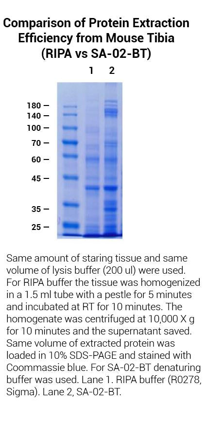 Minute™ Total Protein Extraction Kit for Bone Tissue (50 Preps ...