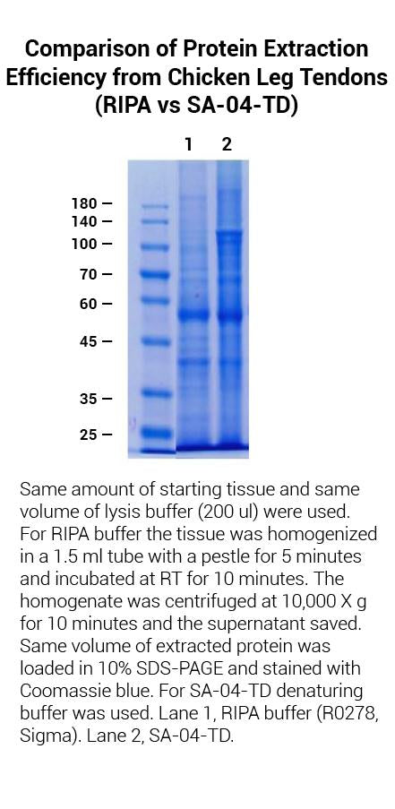 Minute™ Total Protein Extraction Kit for Tendons (50 Preps) – Invent ...