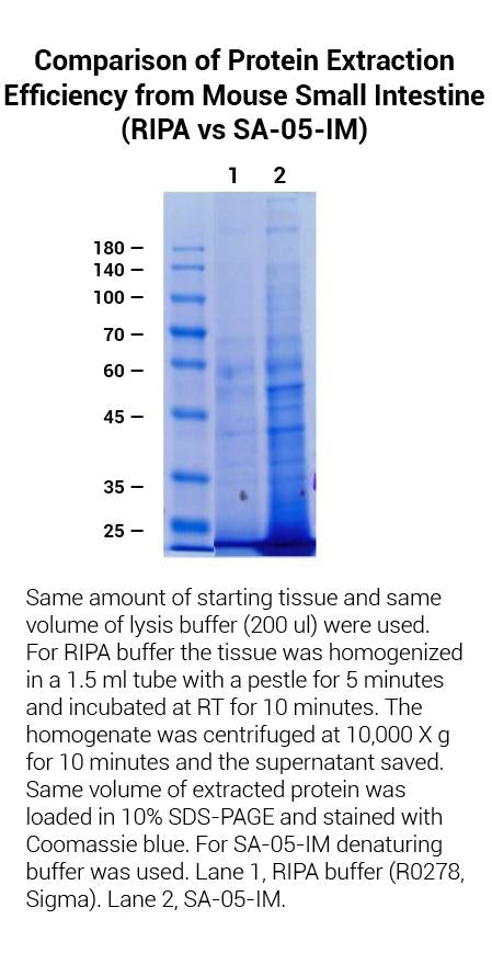 Minute™ Total Protein Extraction Kit for Intestines and Mesentery (50 ...
